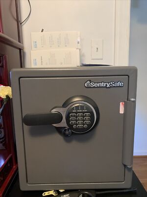 sentry safe | eBay