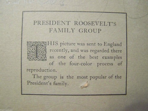 President Theodore Roosevelt Family