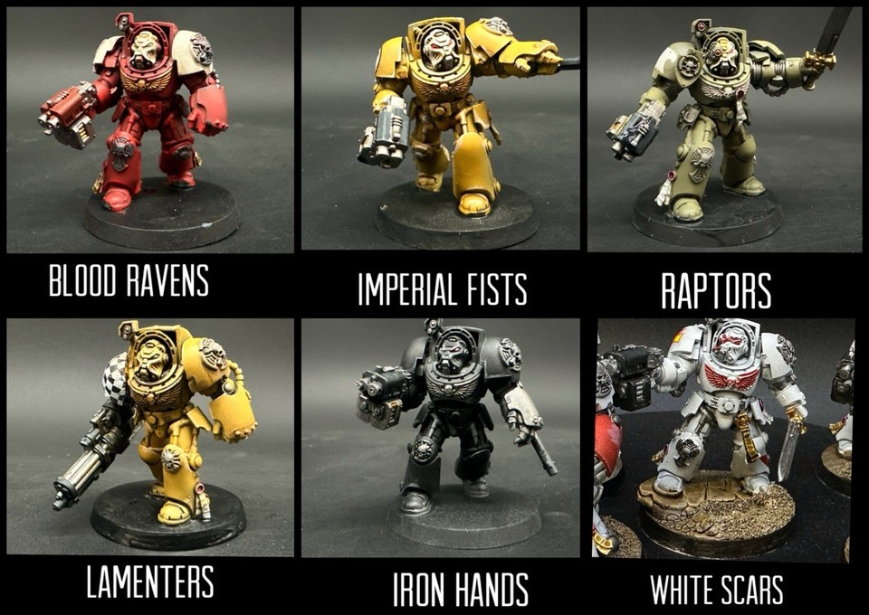 Warhammer 40k Pro Painted Space Marines Heavy Intercessors Squad Raven ...