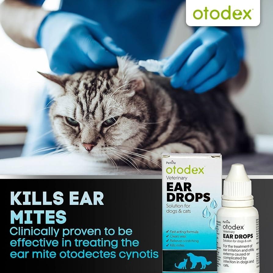 2 x 14ml Petlife Otodex Ear Drops for Dog Cat Clear Wax Mites Cleanser ...