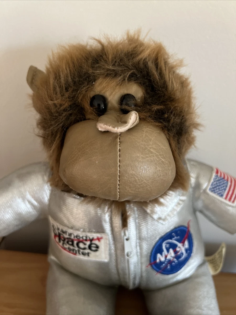 Nasa Chimp