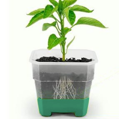 Reusable Transparent Planting Pots Set of 12 for Indoor and Outdoor Use ...