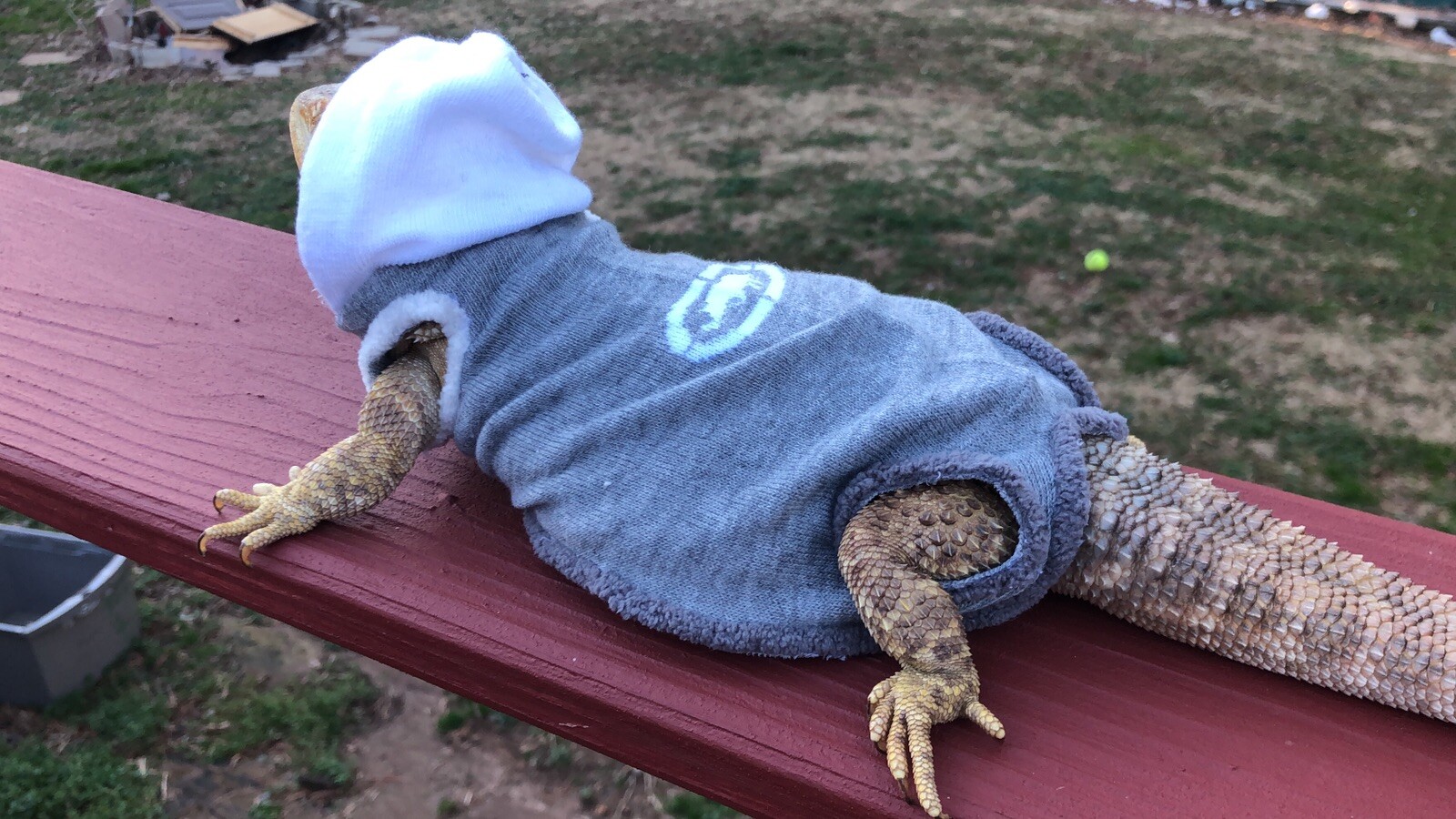 ECKO PRINTS #3 XLRG SLEEVELESS BODY HOODIE SHIRT 4 UNISEX BEARDED ...