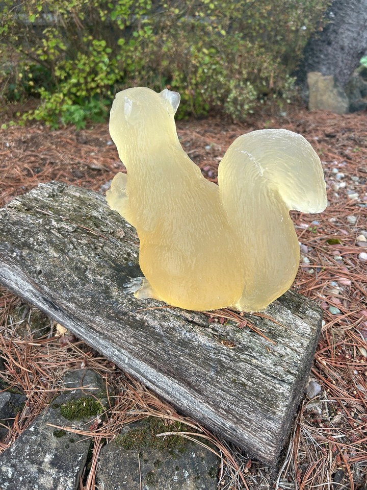 Ballistic Gel Squirrel Target | eBay