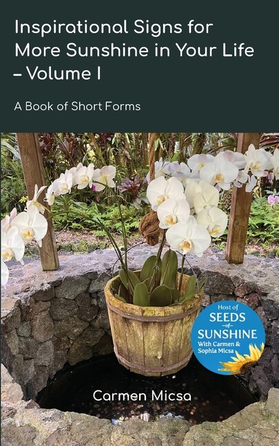 Inspirational Signs for More Sunshine in Your Life - Volume 1 : A Book ...