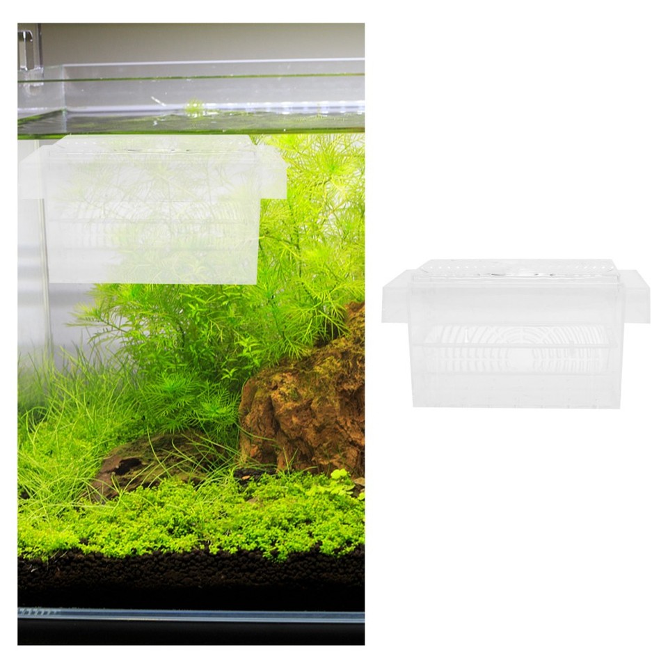 Fish Breeding Box Aquarium Hatchery Isolation Acrylic Fish Fry Tank ...