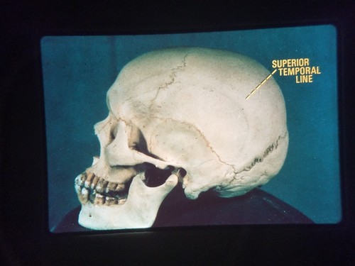 XAY18 35mm Slide Photo Vintage SUPERIOR TEMPORAL LINE | eBay