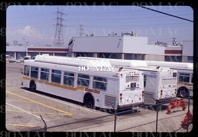 LACMTA-METRO. NF BUS #5359. Los Angeles (CA). Original Slide 2000. NEW ...