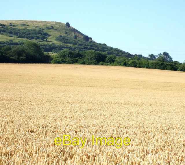 Photo 6x4 Ivinghoe Beacon from the North Barley End A view of Ivinghoe ...
