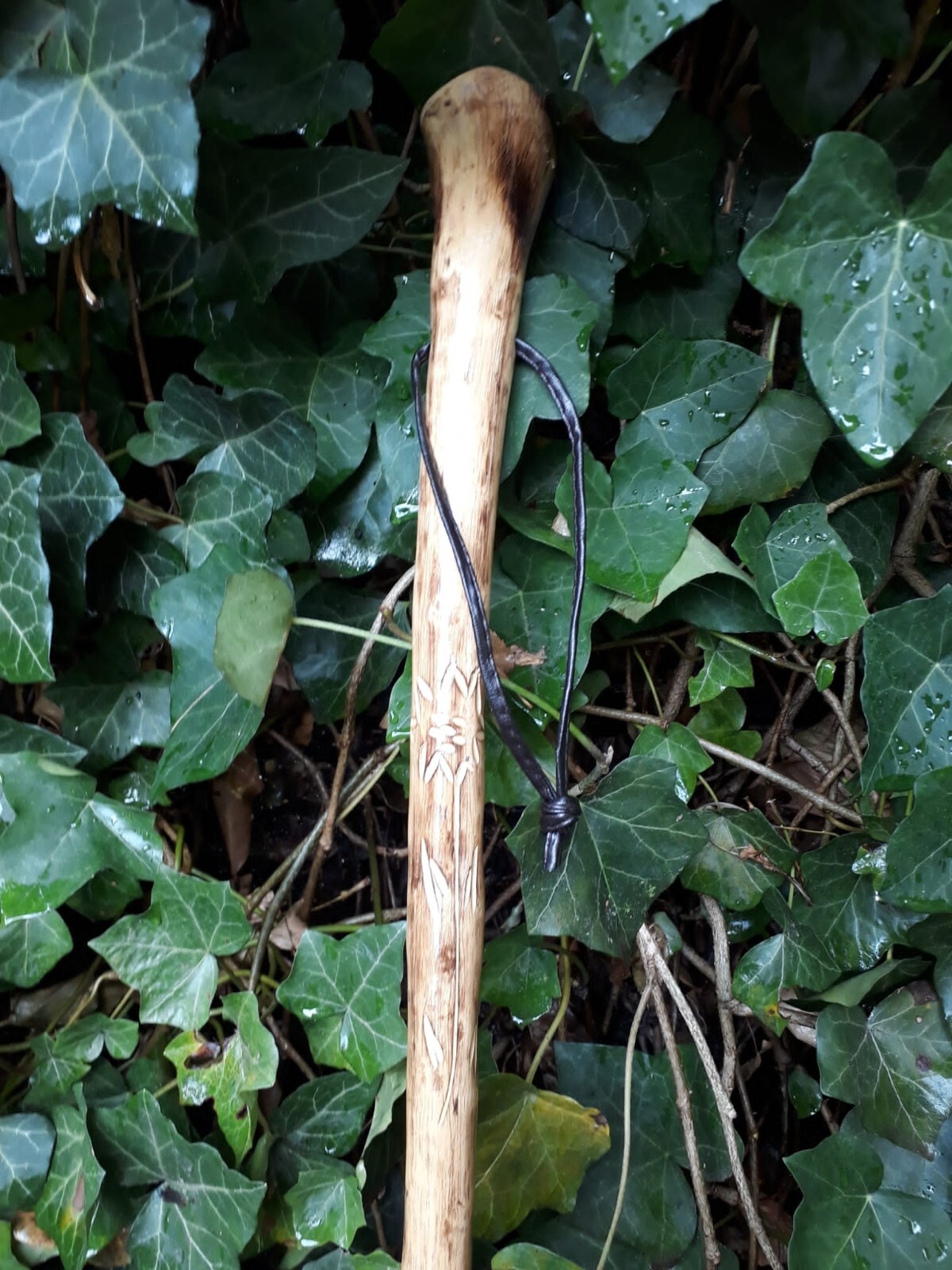 Wanderstock Edelweiß, Wurzelstock , Hirtenstock , Pilgerstock ...