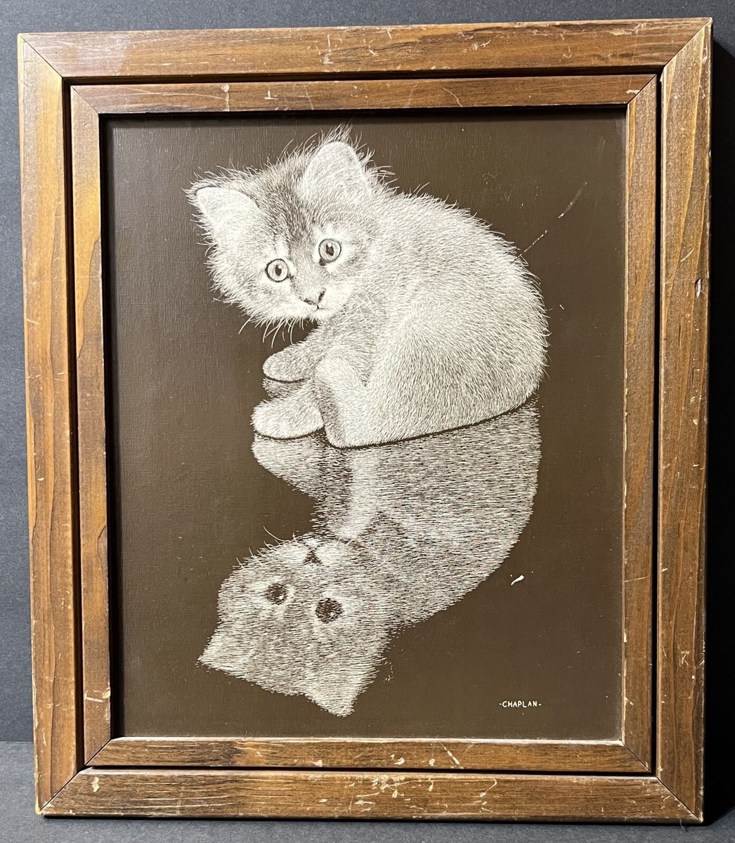 Cat Mirror Reflection Purr Fect Reflections: 9 Mirrors Your Cat Will