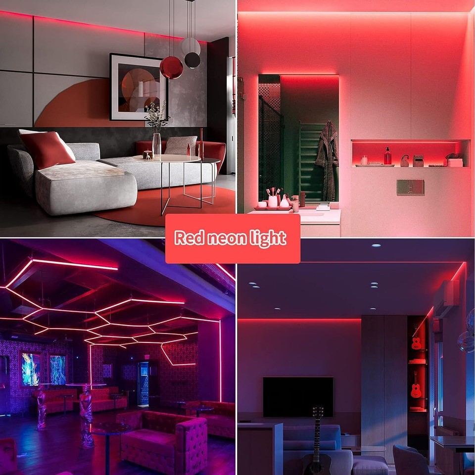 65ft Double-side Neon LED Light Strip 12V 24V Rope Tube Waterproof ...