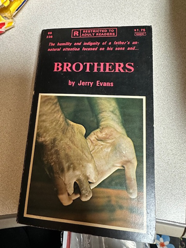 1970 Vintage Gay Pulp Young "Brothers" By Jerry Evans Rated R | eBay