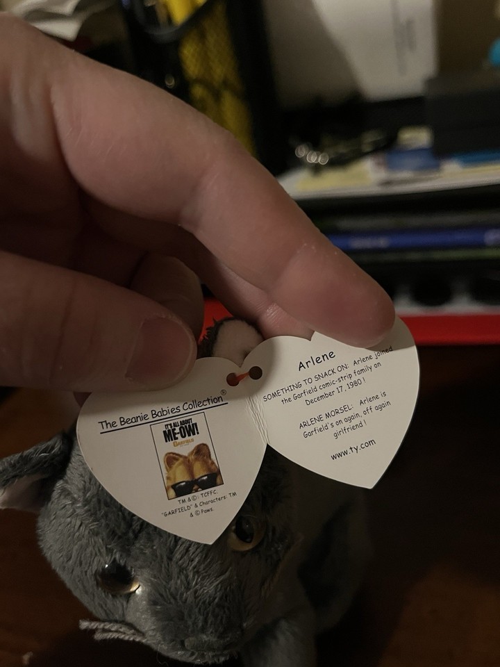 TY Beanie Baby - ARLENE the Cat ( Garfield Movie Beanie ) (6.5 inch) | eBay