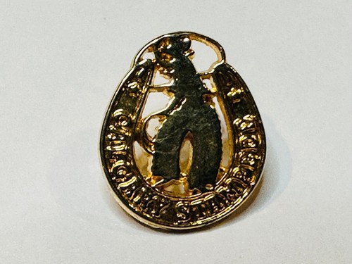 Calgary Stampede Rodeo Festival Alberta Canada Lapel Pin Badge ...