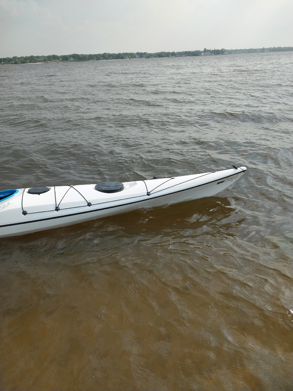 16' Zegul Kayaks B153 Fiberglass Sea Kayak , High Performance ...