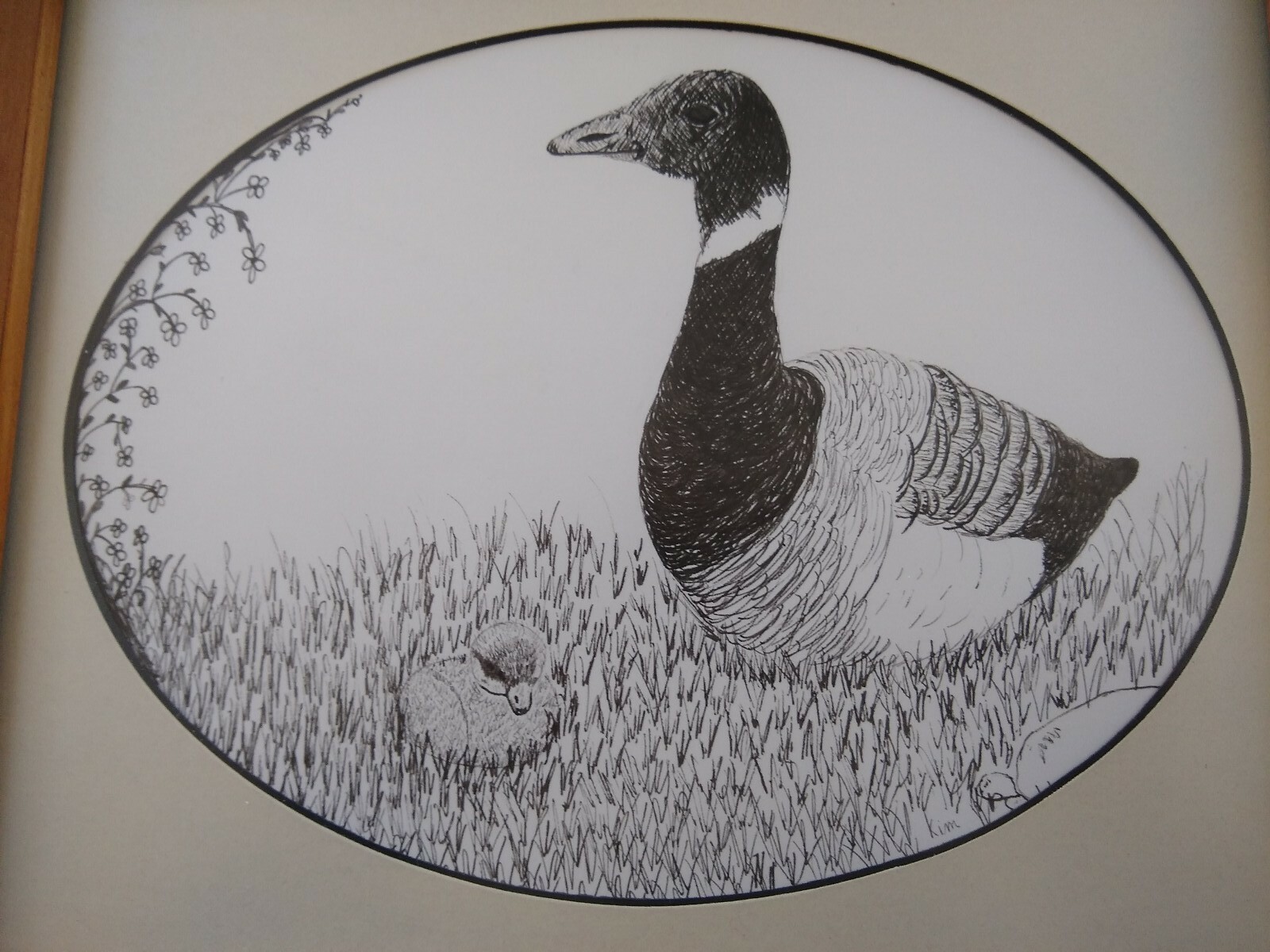 Hand Drawn Pencil Drawing Sketch of Brant Goose and Gosling baby Framed ...