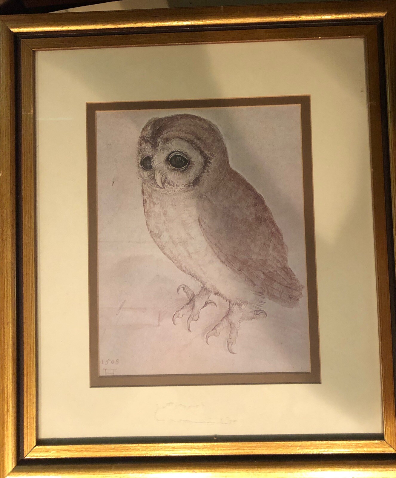 Albrecht Duerer "The Little Owl" Matted and Framed Aviary Canvas Animal ...