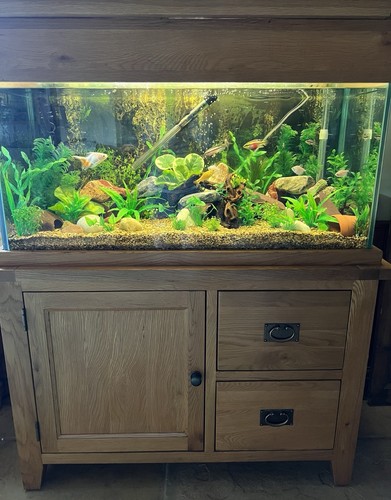 Solid Oak Fish Tank Fully Set Up | eBay UK