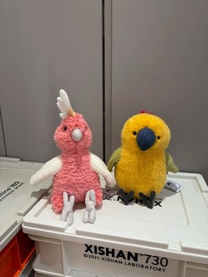 2025 Brand New Jellycat Budgeby Parrot doll plush with Tags +dust bag ...