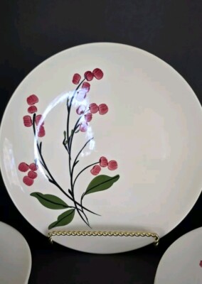 Blue Ridge Pottery Rare Bittersweet Pattern Dinner Plate 10.25 In | eBay