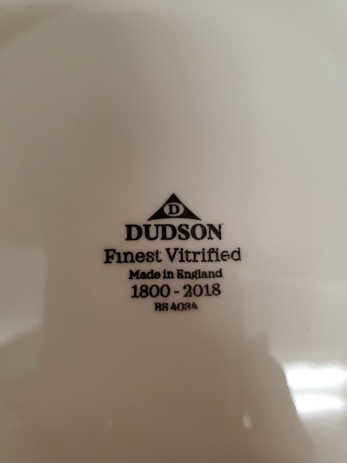 DUDSON Autumn Square Dinner plate BS4034 10" | eBay