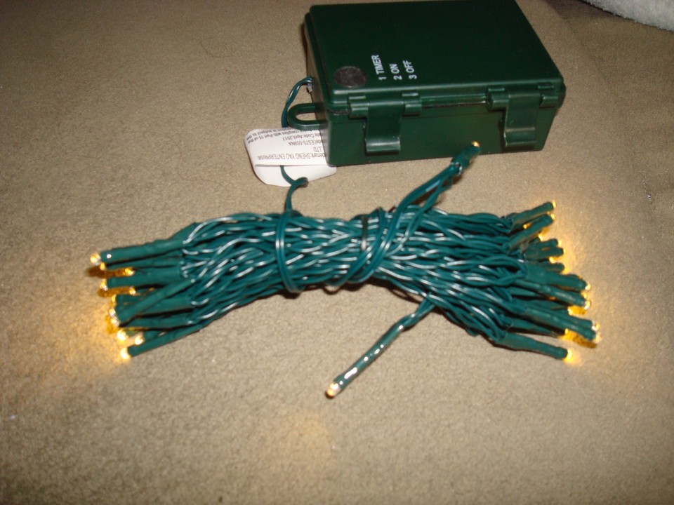 LED RICE LIGHTS CLEAR 50 LIGHTS BATTERY OPERATED | eBay
