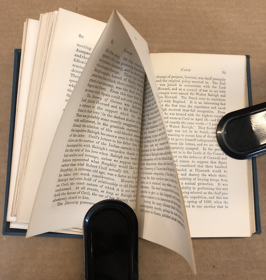 Raleigh (English Worthies) - Edmund Gosse - Antique Hardback - 1888 ...