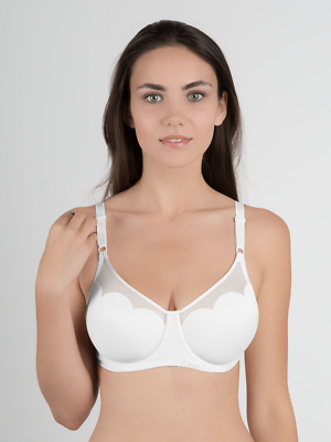 Milavitsa Usa Freie Gewerbefläche Aplerbecker Werbegemeinschaft E.