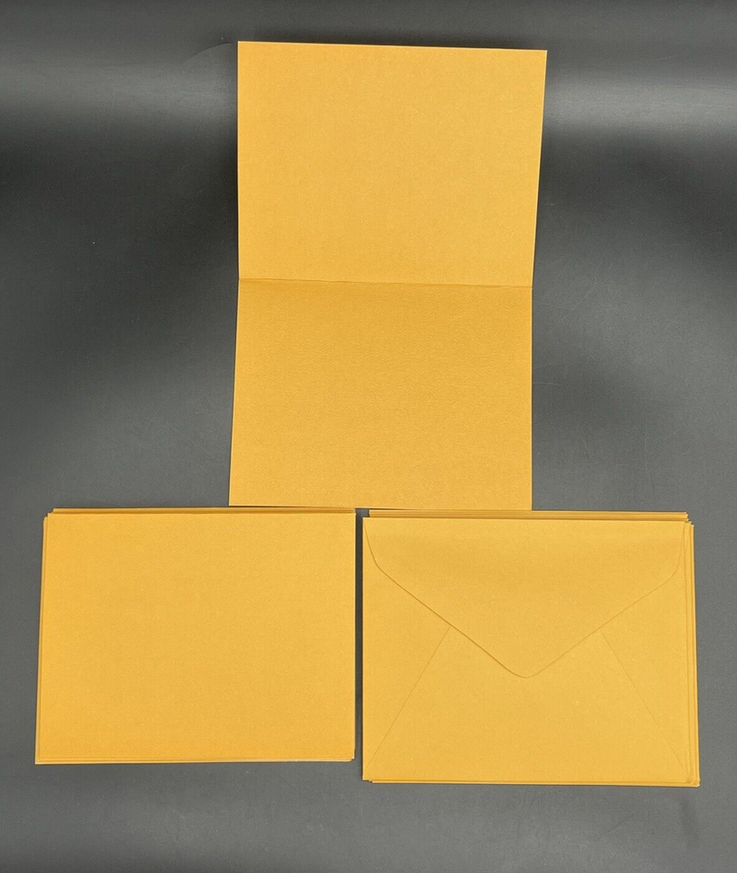 Gartner Studio Hot Hues! Blank Orange Note Card Collection, 11 count ...