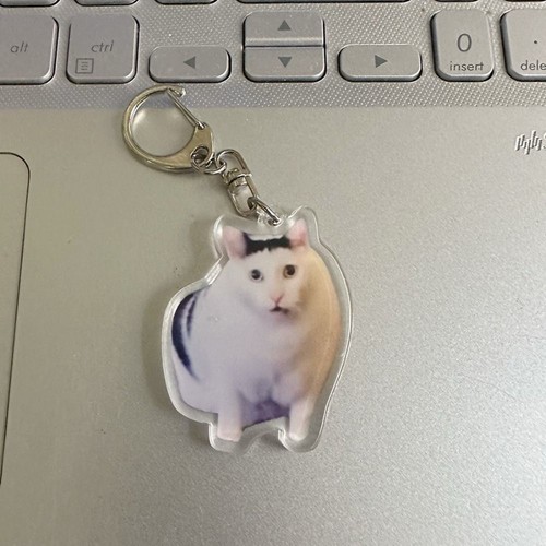 Acrylic Cat Meme Ball Keychain Creative Bag Pendant Fashion Key Ring ...