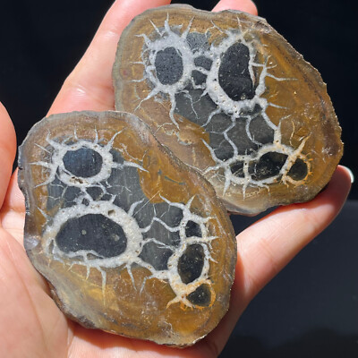 166G Moroccan Turtle Back Stone Cutting Energy Spirit | eBay