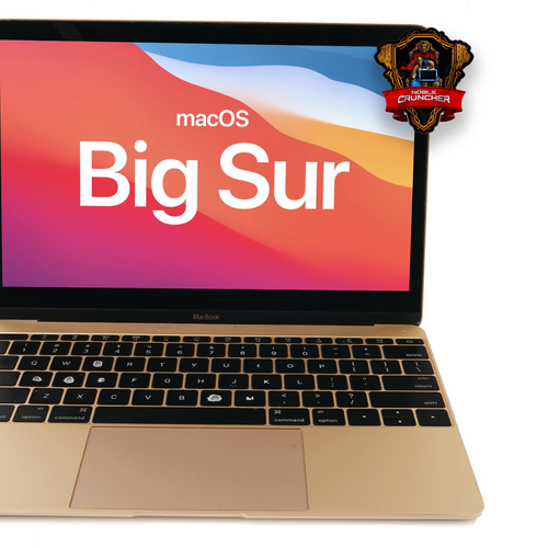 Sleek Apple 12" Retina Intel M5 8GB RAM 512GB SSD 2015 Thin MacBook AIR ...