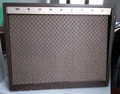 Magnatone Custom 480 Stereo all Tube Guitar Amplifier | eBay