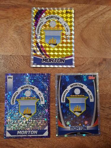 Greenock Morton Badges, SPFL Match Attax Cards | eBay
