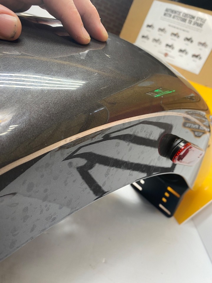 OEM 15-2026 Harley RG3 Freewheeler Trike Rear Fender trike license ...