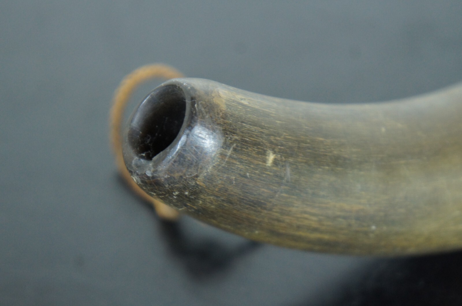 Antique Powder Horn Flask Natural Hollow Black Powder Hunting ...