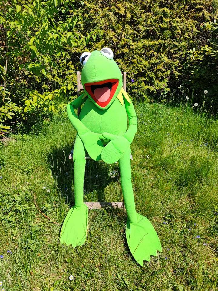 Kermit Der Frosch Fährt Auto
