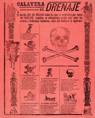12113.Decoration Poster.Room wall.Home interior design.Mexican Calavera ...