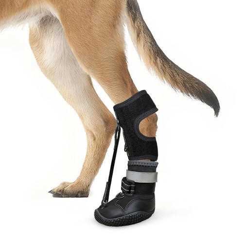 Idepet Dog Drop Foot Brace Strap On (No Knuckling Boot Brace) — Dog ...