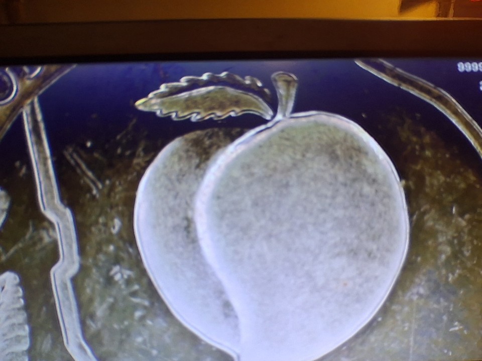 1999-S Georgia State Quarter Perfect Circulated Condition. Actual Coin ...