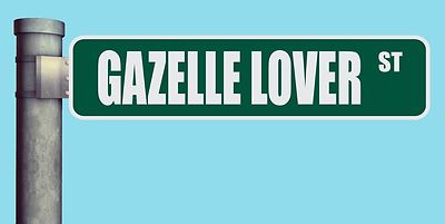 GAZELLE LOVER ST STREET SIGN HEAVY DUTY ALUMINUM ROAD SIGN 17" x 4" | eBay