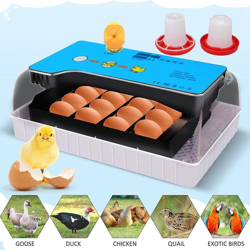 12 Egg Incubator Automatic Chicken Quail Hatcher Eggs For Hatching ...