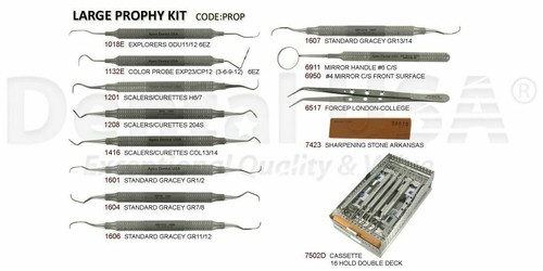 DENTAL USA Large Prophy Kit 15pcs Dentistry Root Apex Model# PROP | eBay