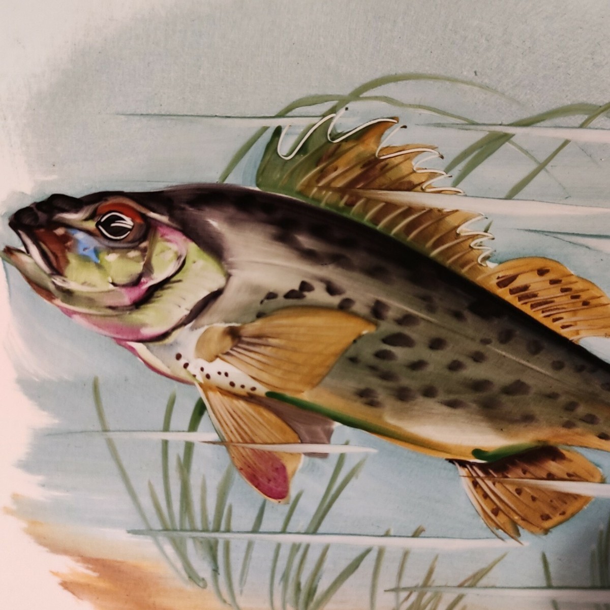 Bass Fish Painting