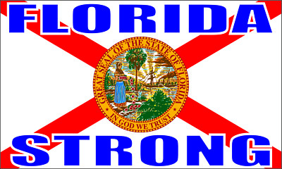 Florida Strong Bumper sticker decal Flag Support Graphic | eBay