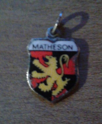 Matheson Coat of Arms / Family Crest Silver Plated Enamel Charm | eBay