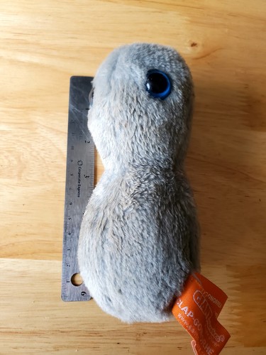 GIANT MICROBES-THE CLAP-Stuffed Plush Gonorrhea STD VD Venereal Science ...