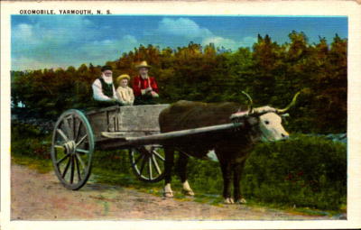 Postcard Oxomobile Yarmouth Nova Scotia Canada Harry McKinlay | eBay