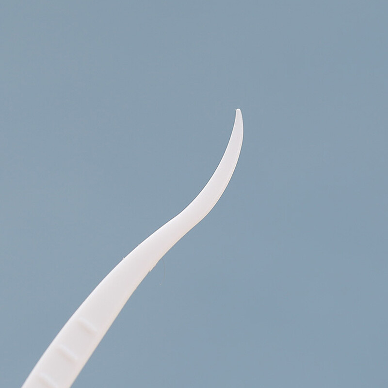 50/100pcs Boxed Disposable Dental Floss Flosser Picks Oral Dental Floss ...